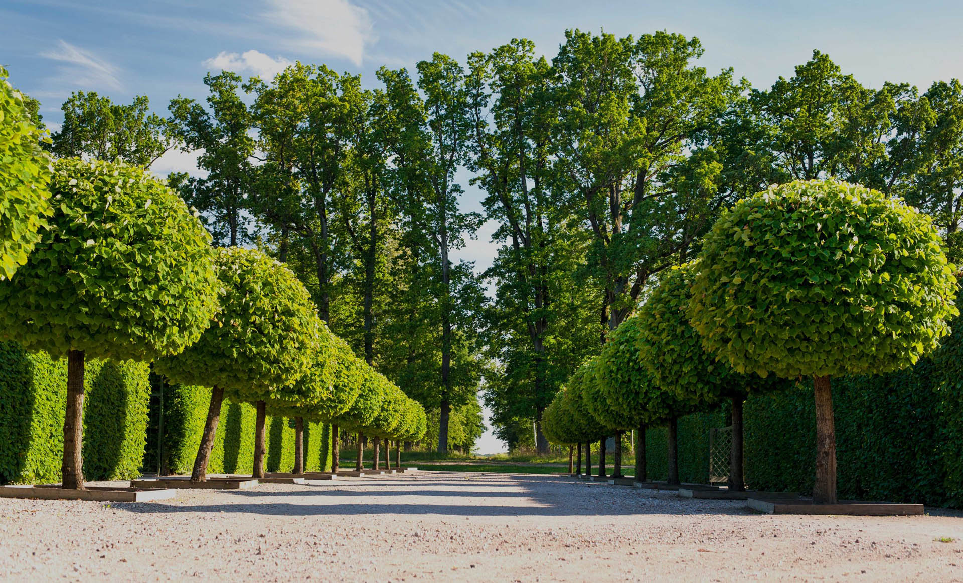 Paysagiste - Espaces Verts, Plantes, Provence-Côte d'Azur